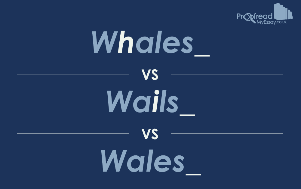 Word Choice: Whales, Wails or Wales? | ProofreadMyEssay