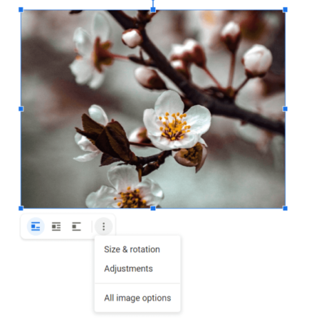 How to Add and Format Images in Google Docs | Proofed's Writing Tips